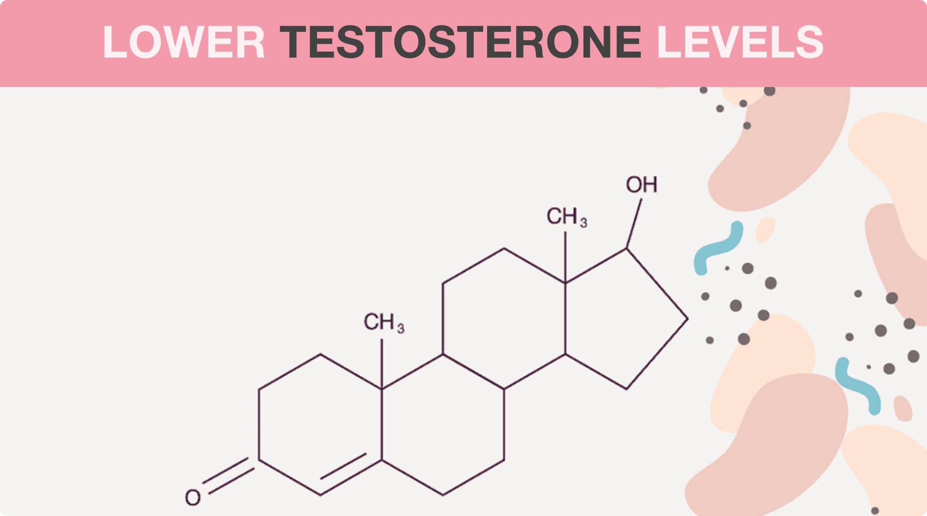 5 Supplements to Lower Testosterone Levels – (UK) Health & Balance Vitamins